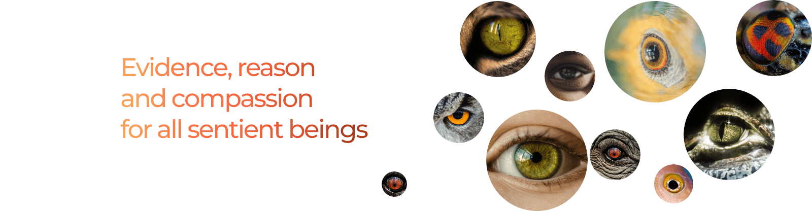 Meet the Sentientists